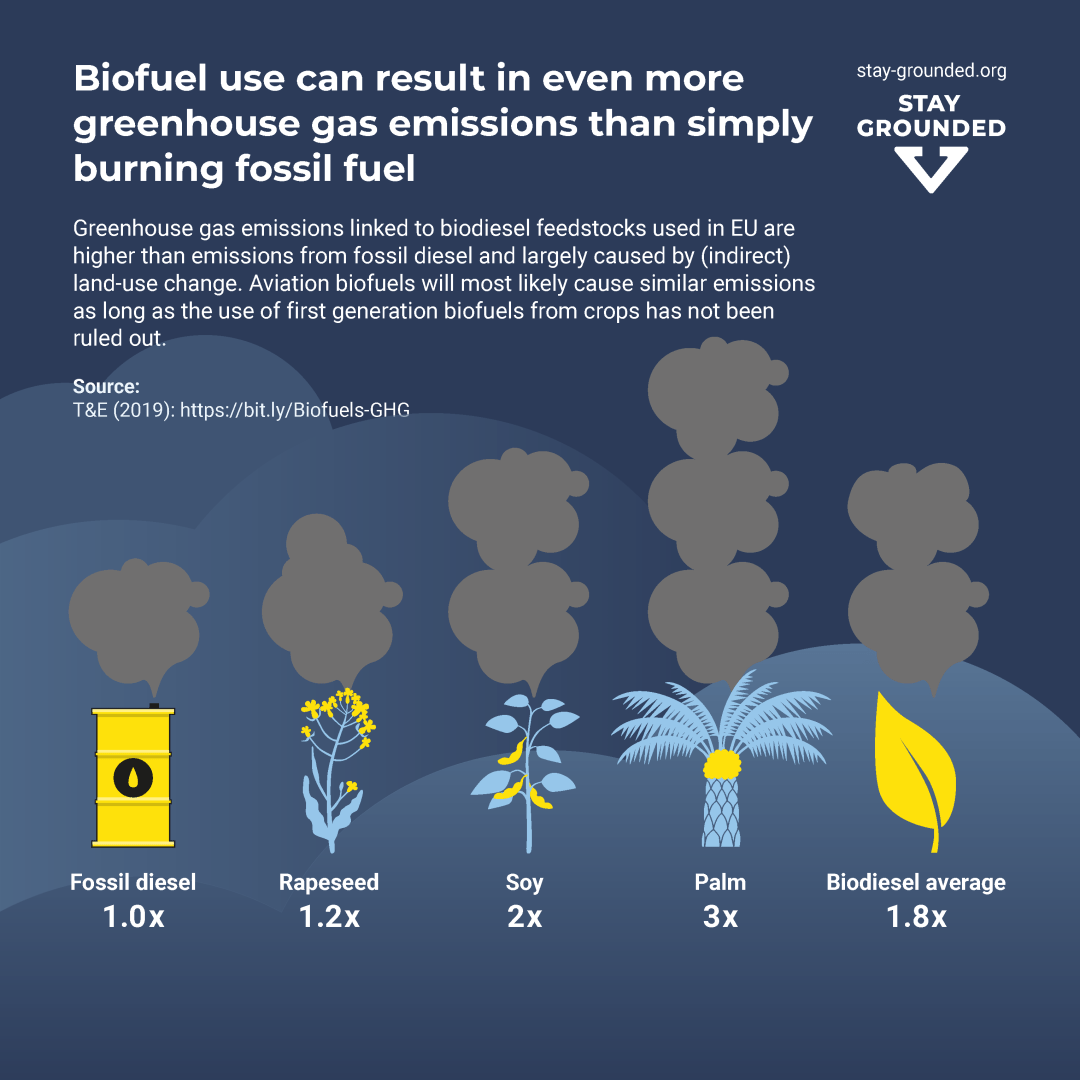 Greenwashing Fact Sheet Series - Stay Grounded